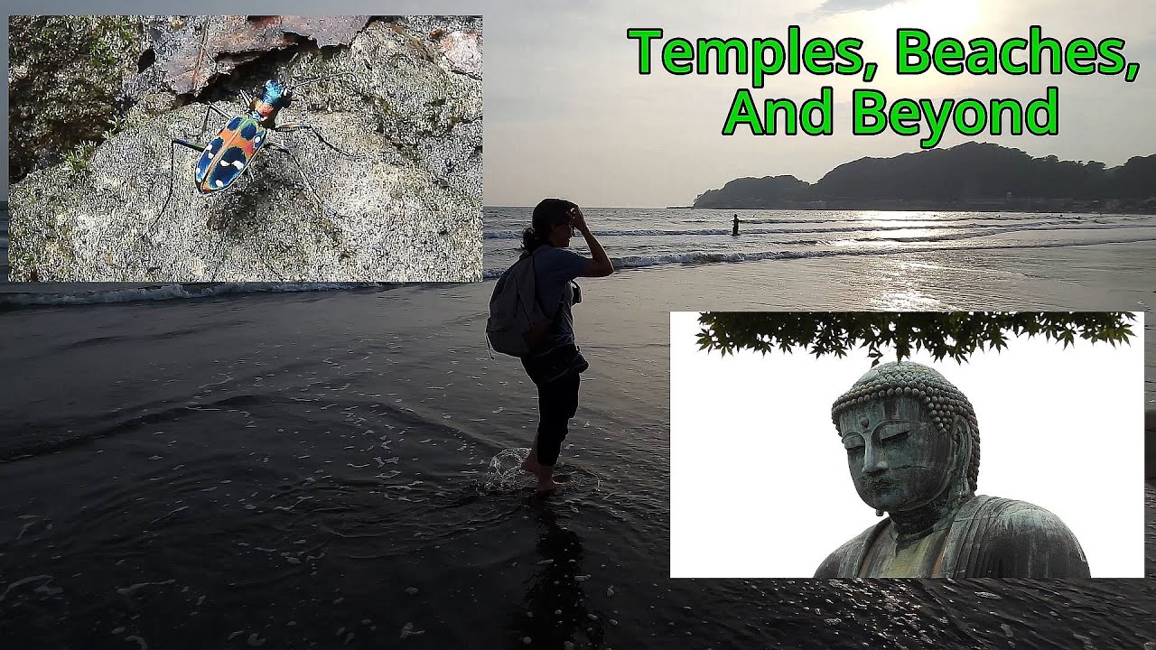 Our Journey Through Kamakura, Japan: Ancient Temples and Hidden Gems ...