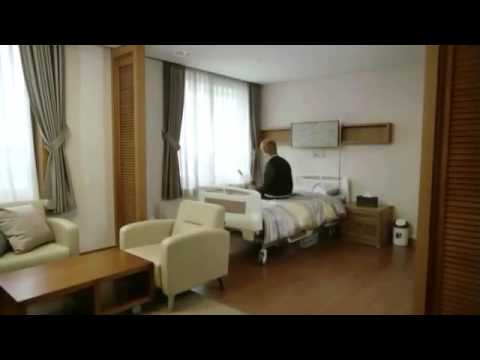 Gül rengi-kore klip