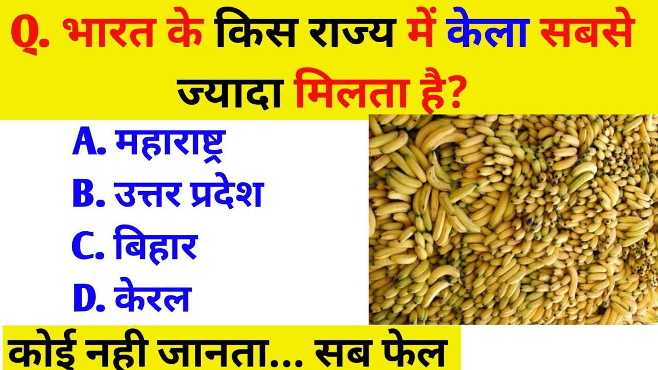 GK || General knowledge || GK video || GK questions answers ||Gk in ...