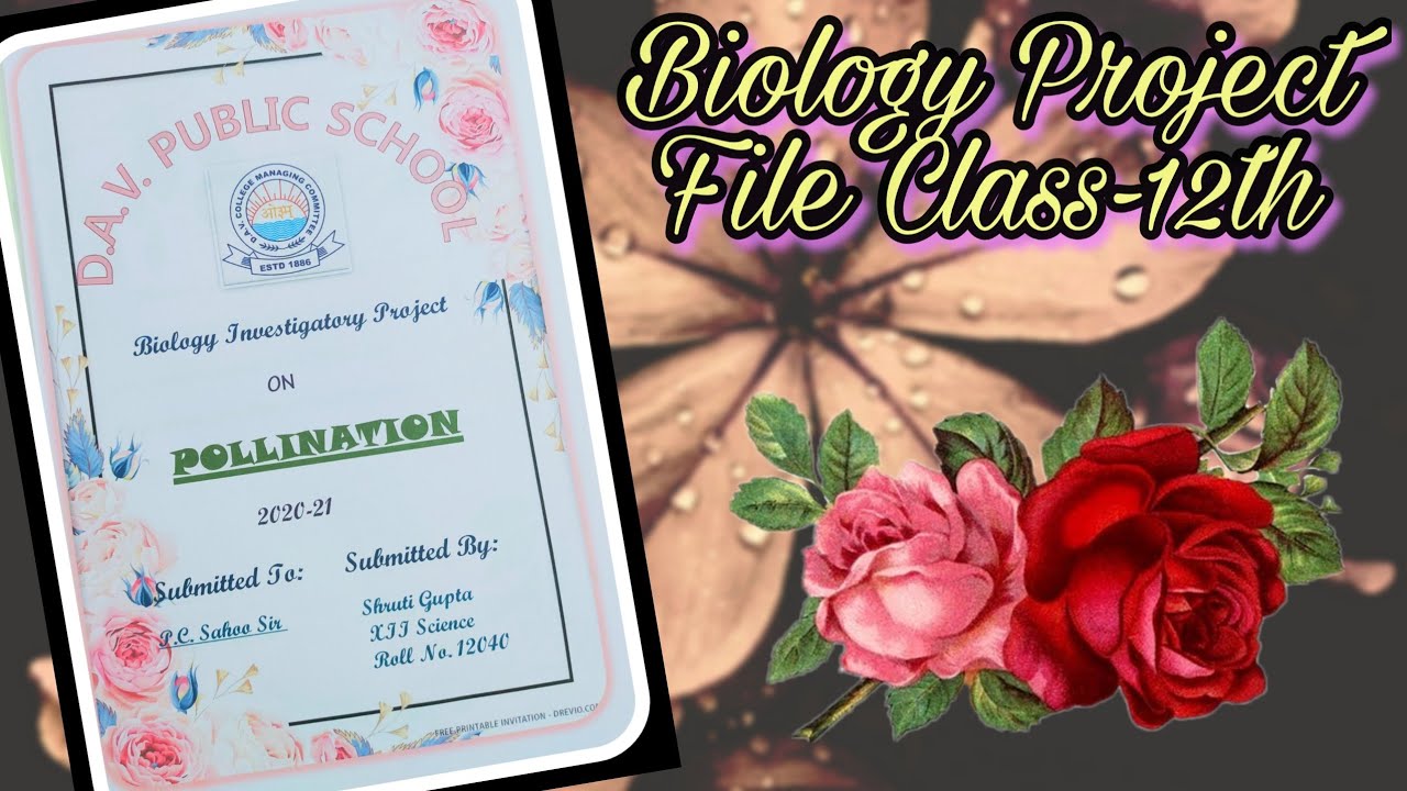 #biology #project #cbse | Biology Project Work Class -12 | Pollination ...