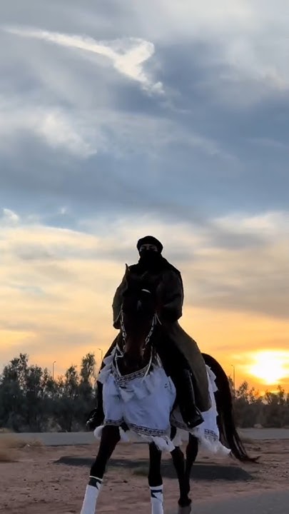 لاتحدونها هيبة من الله #السعودية #اكسبلور #خيل #العيدابي #كلمه #لايك # ...