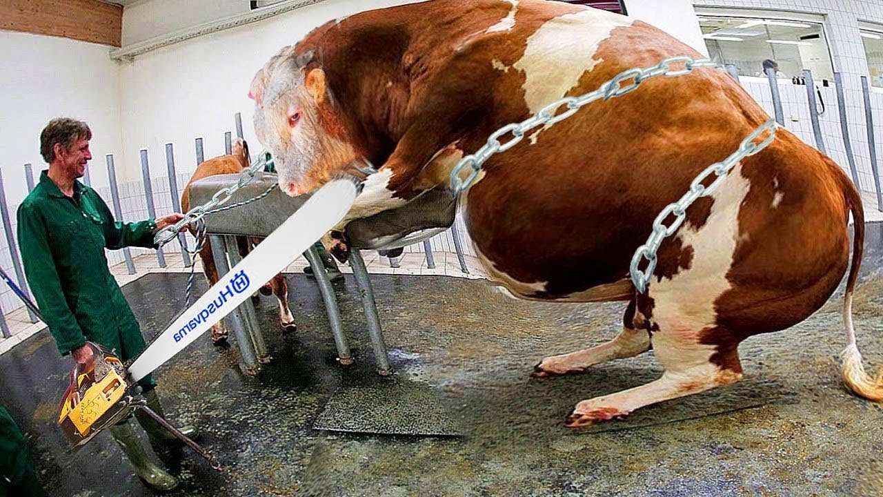 EXTREME FARM CHALLENGE: Female Veteran Survives 100 Days Using ONLY ...