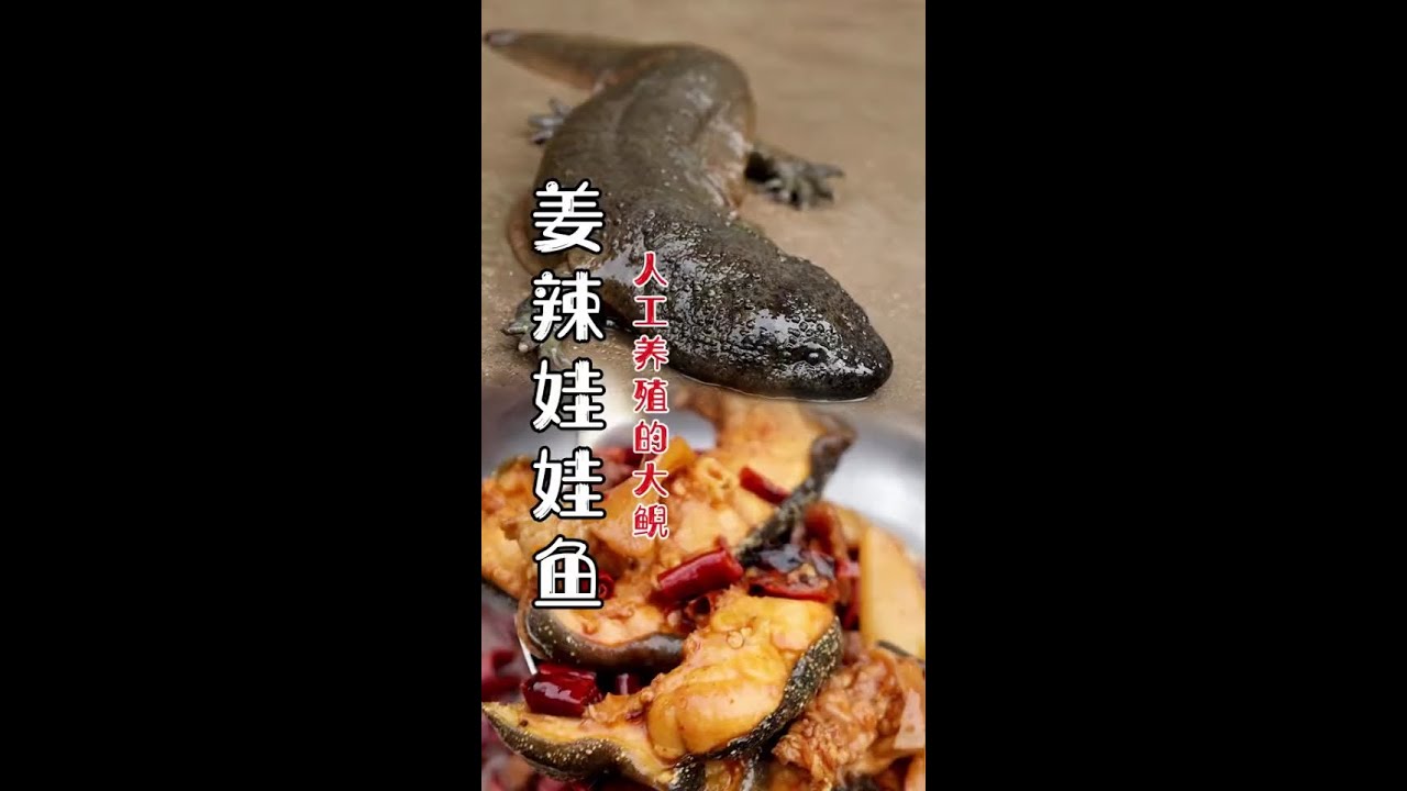 Món cá oa oa cực ngon - YouTube