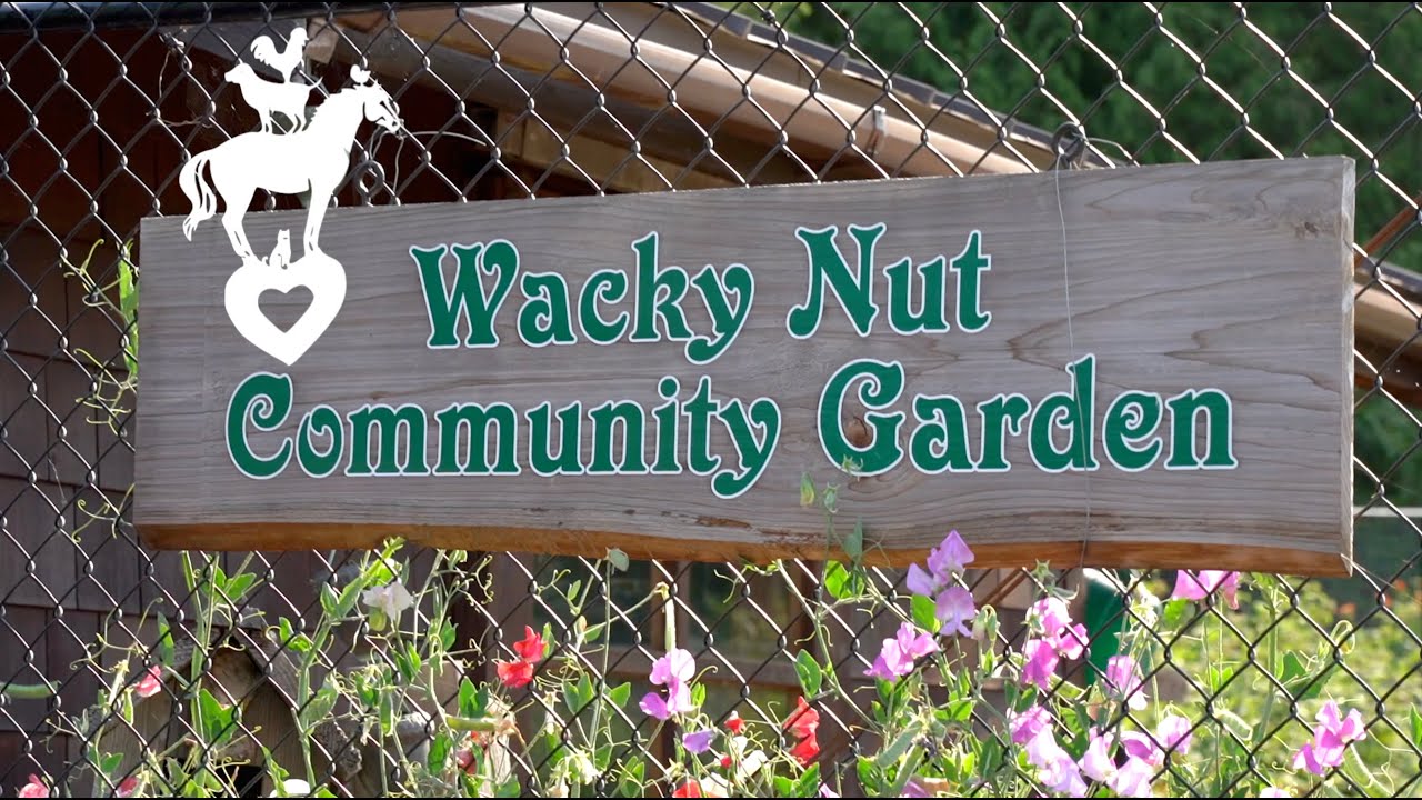 Wacky Nut Farm Community Garden - YouTube