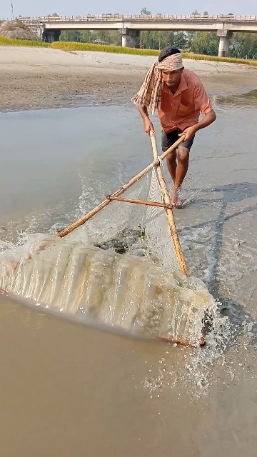 Traditional River Net Fishing | Big Catch Surprise! #fishing #shorts # ...
