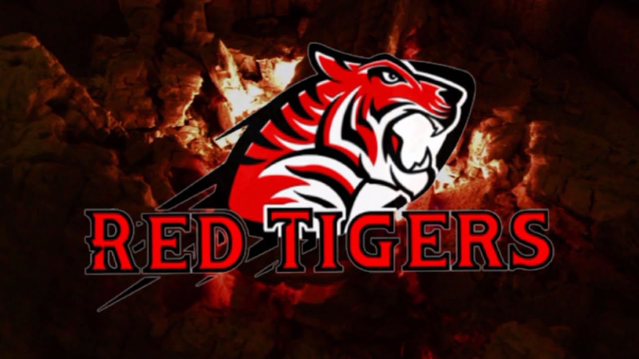Red Tigers are born - YouTube