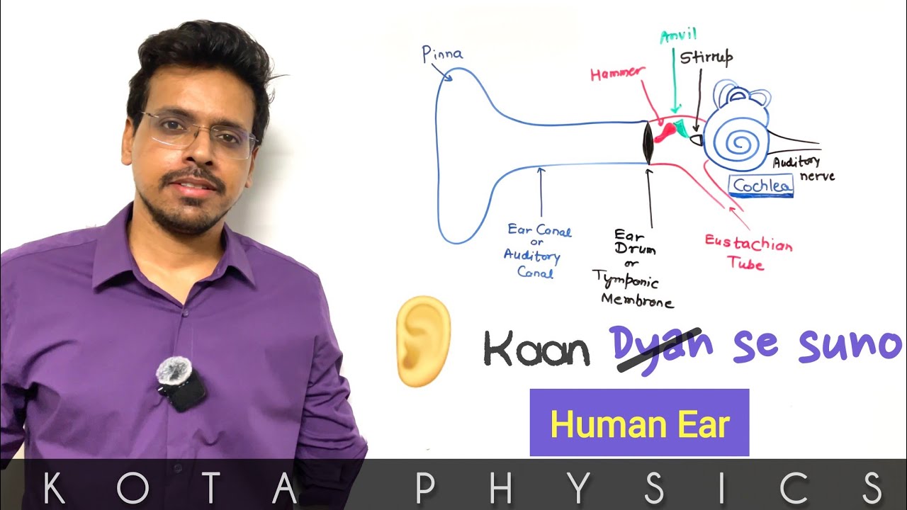 Human ear class 9/ class 10 | NCERT COVERED - YouTube