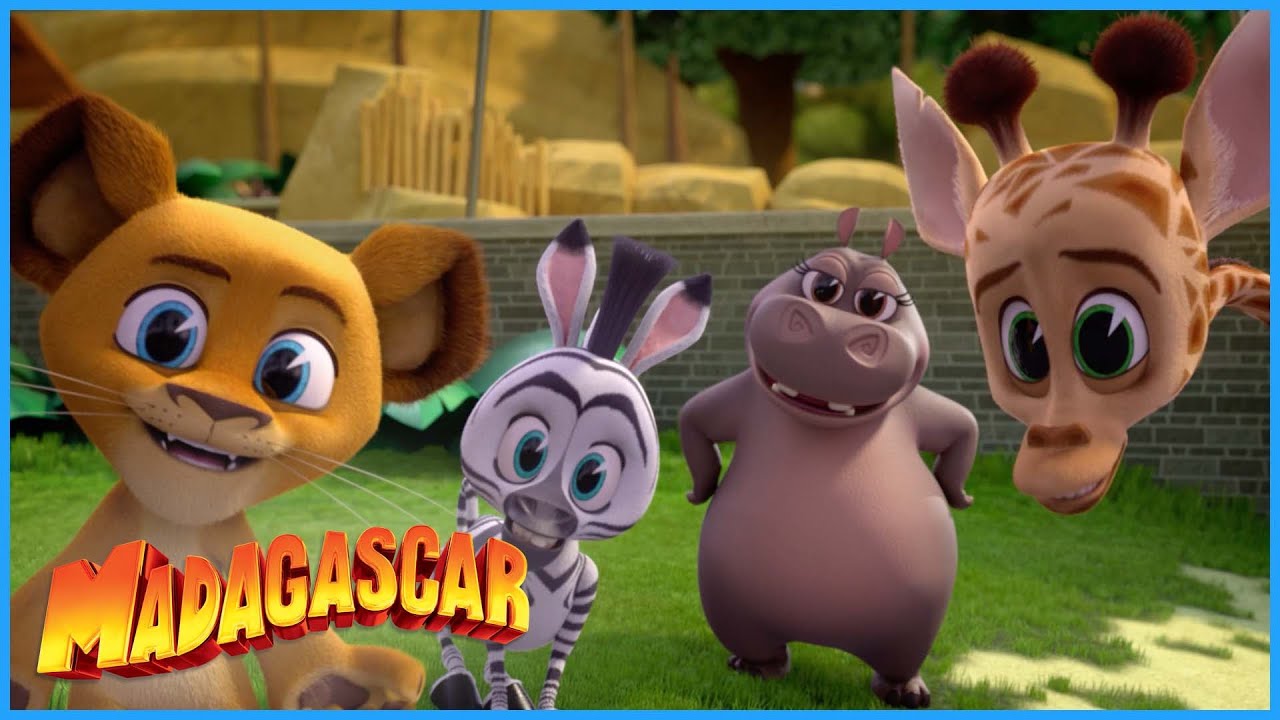 Learning new things | DreamWorks Madagascar - YouTube