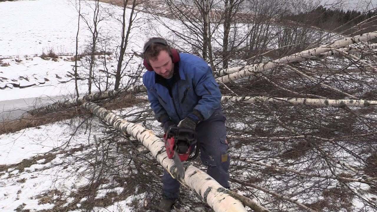 How limbing a tree? - YouTube