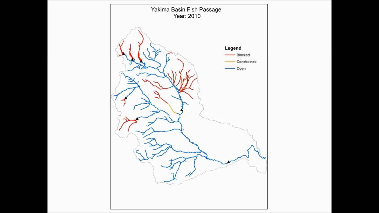 Fish Passage Animation - YouTube