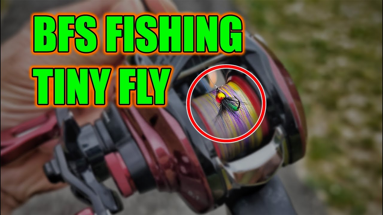 Ultralight BFS Fishing TINY Nymph Jig Flies for Spring Bluegills ...