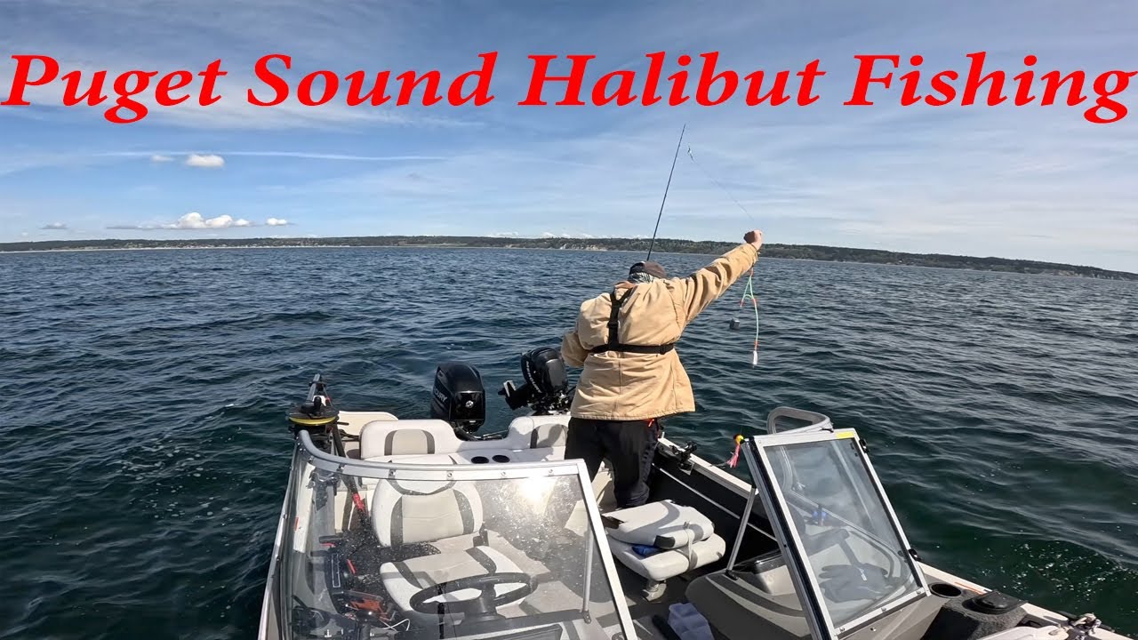 Puget Sound Halibut Fishing - YouTube