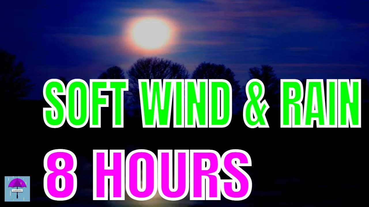 𝗙𝗔𝗟𝗟 𝗔𝗦𝗟𝗘𝗘𝗣 𝗙𝗔𝗦𝗧 𝗦𝗢𝗙𝗧 𝗪𝗜𝗡𝗗 𝗦𝗢𝗙𝗧 𝗥𝗔𝗜𝗡 𝟴 𝗛𝗢𝗨𝗥𝗦 𝗚𝗢 𝗧𝗢 𝗦𝗟𝗘𝗘𝗣 𝗥𝗜𝗚𝗛𝗧 𝗡𝗢𝗪 ...