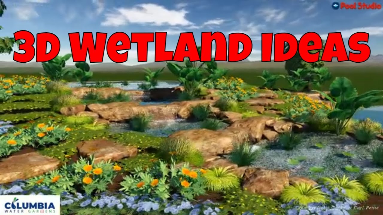 Wetland Filter For Pond And Waterfall: Spectacular 3d Design! - YouTube