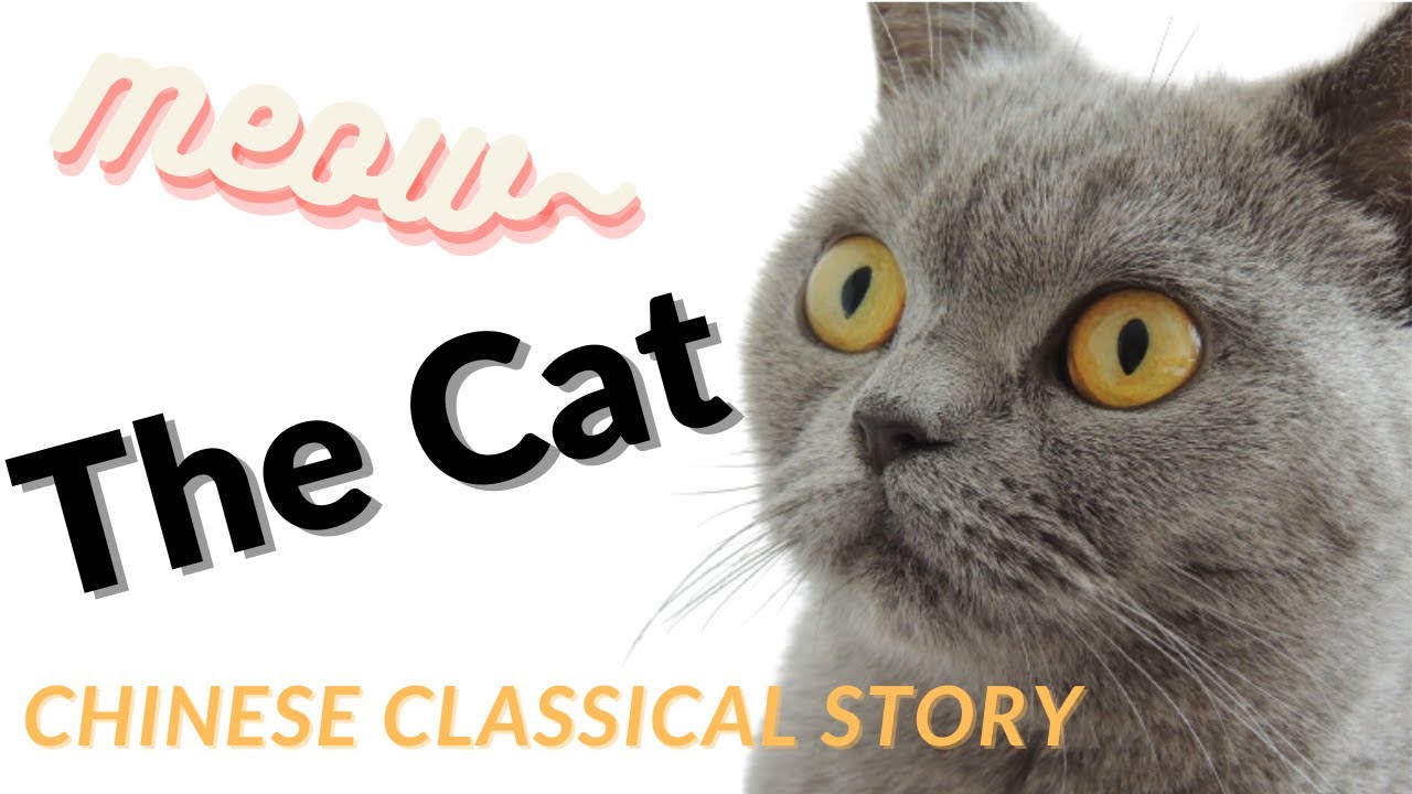 【The Cat】Stories | Myth Mythology | Asian | Folklore | Tales | Fable ...