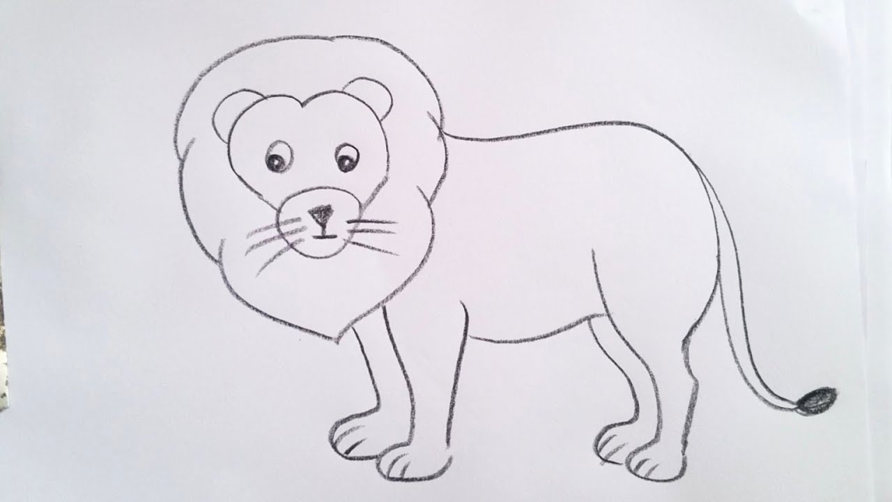how to draw lion drawing easy step by step@DrawingTalent - YouTube
