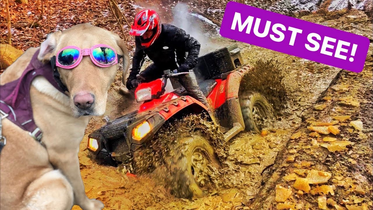 ATV 4X4 MUD TRAIL TOUR! DOG Passenger!!! - YouTube