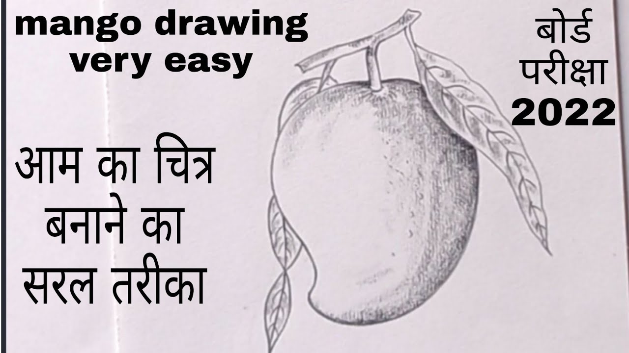 Aam Ka Chitra || mango drawing || how to draw mango with leaf || mango ...