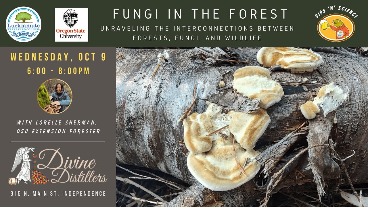 Fungi in the Forest: Unraveling the interconnections of forests, fungi ...