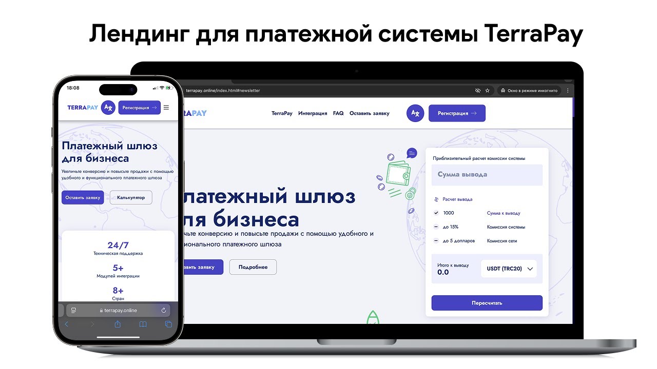 Landing page for the TerraPay payment system - YouTube