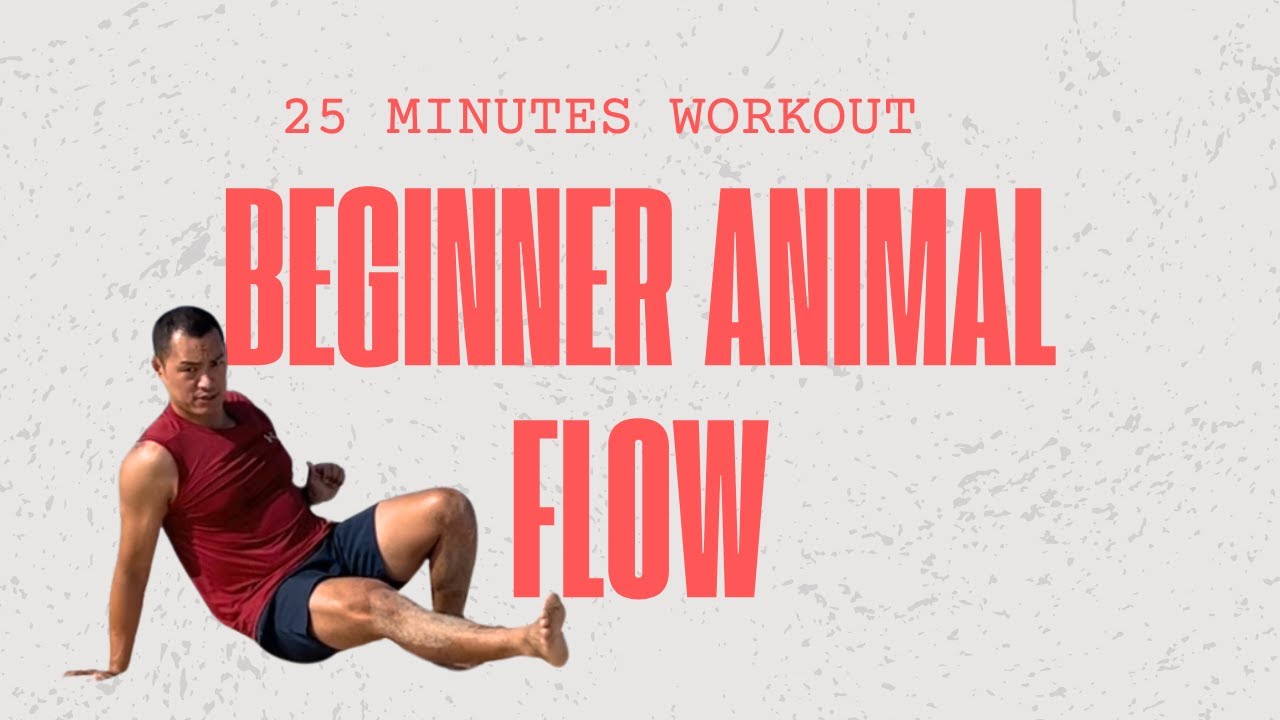 25 Minutes Beginner Animal Flow - YouTube