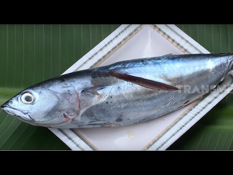 PARIA KAMBU Khas Mandar, Ada Ikan di Dalam Pare | RAGAM INDONESIA (09 ...