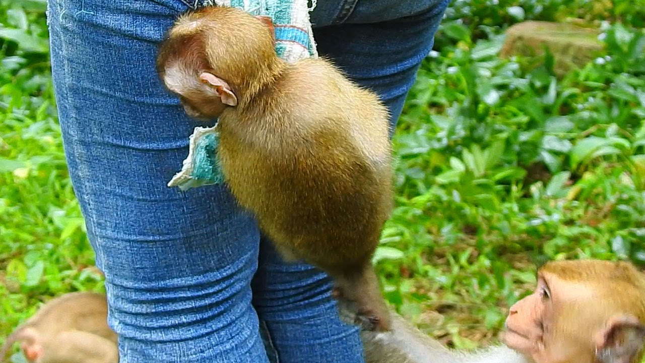 OMG! Baby Candy see her towel hard glue hug from lady pocket till ...