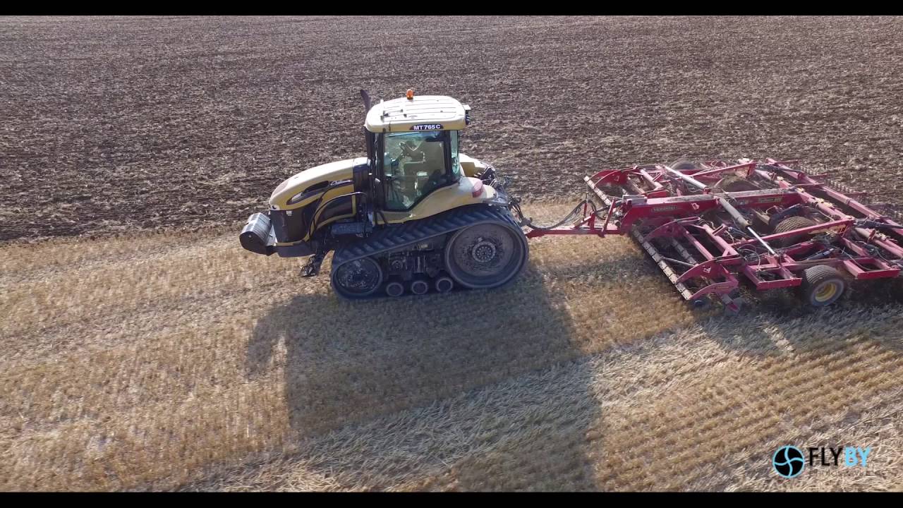 Cat Challenger - YouTube