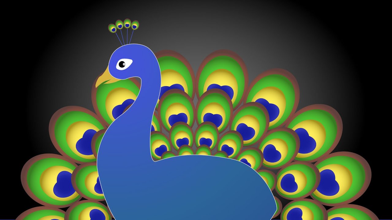 How to create Peacock animation in adobe animate - YouTube