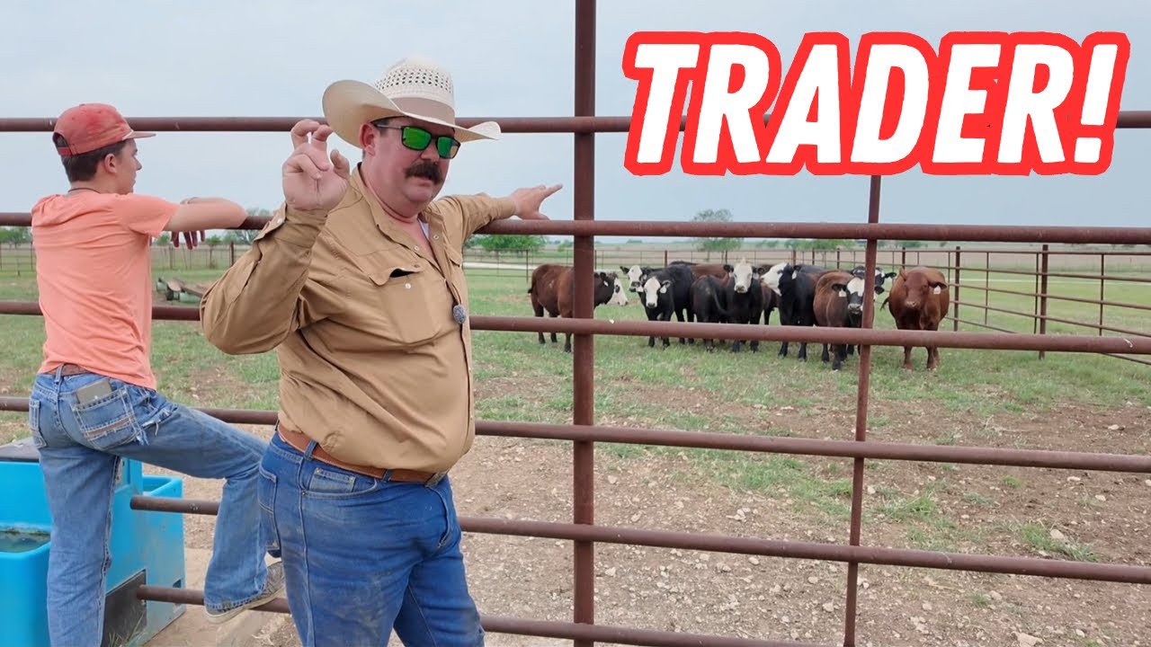 Inside the Controversial Ranching of Bar 7 Ranch - YouTube