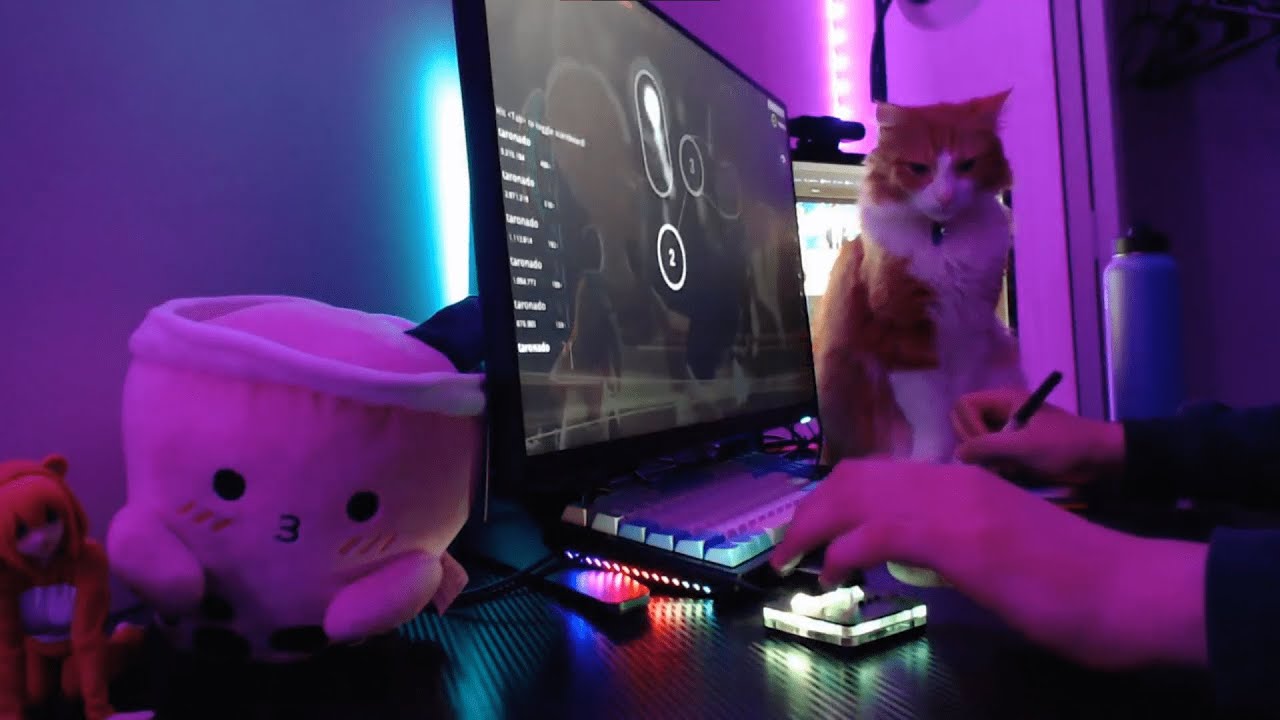 proof i'm legit (ft. pp cat) - YouTube