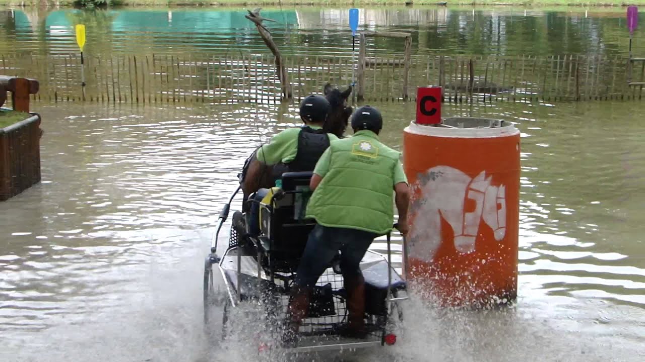 Pau 2013 - Martin Holle (HUN) Ob1 - YouTube