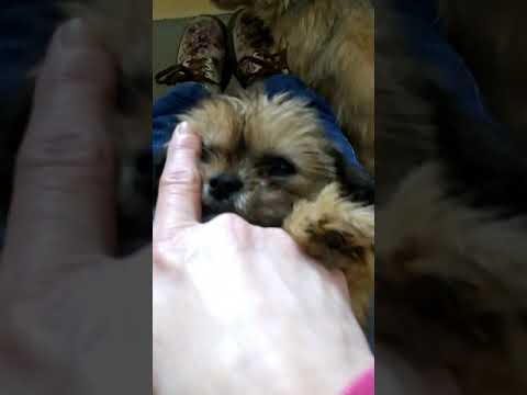 Alfie deleted scenes max