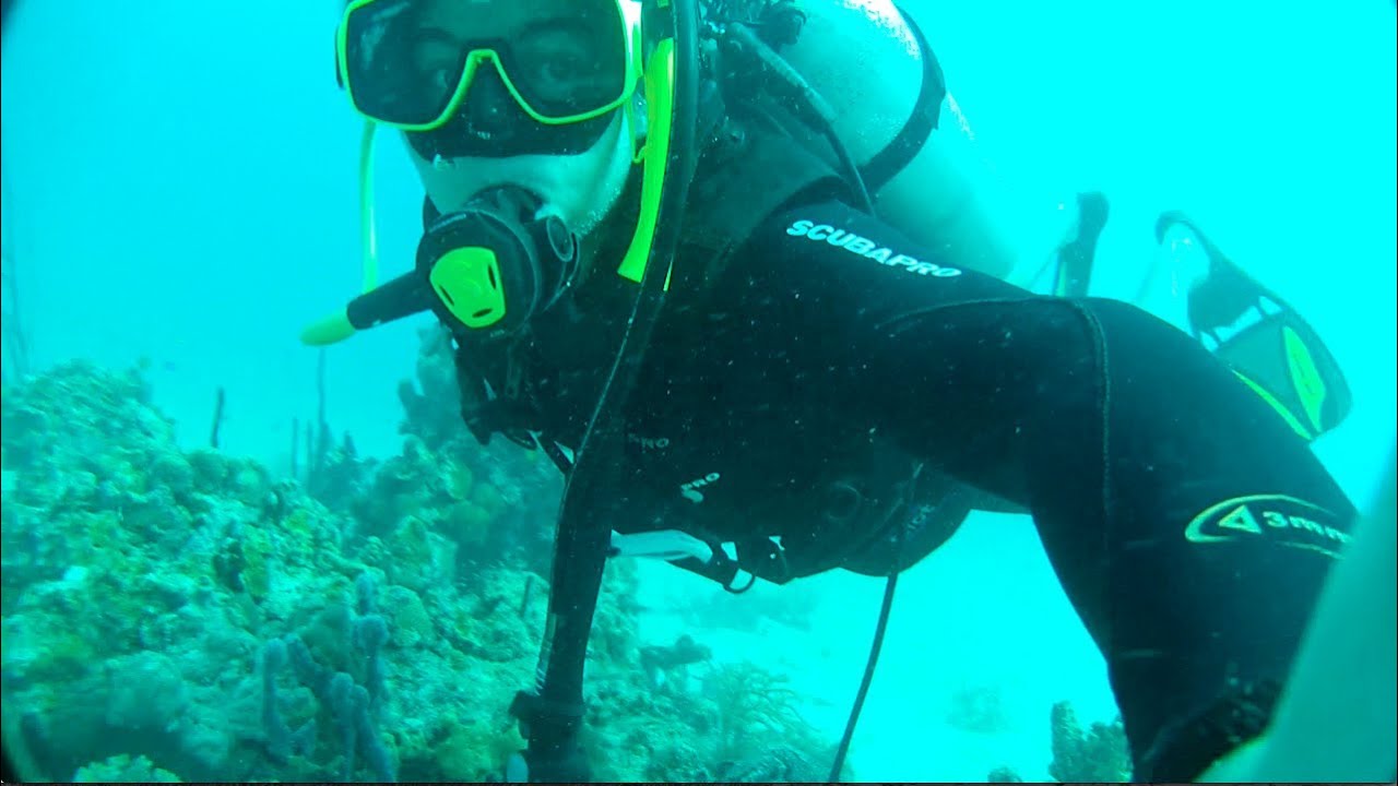 GoPro HD | Scuba Diving Culebra Island, Puerto Rico - YouTube