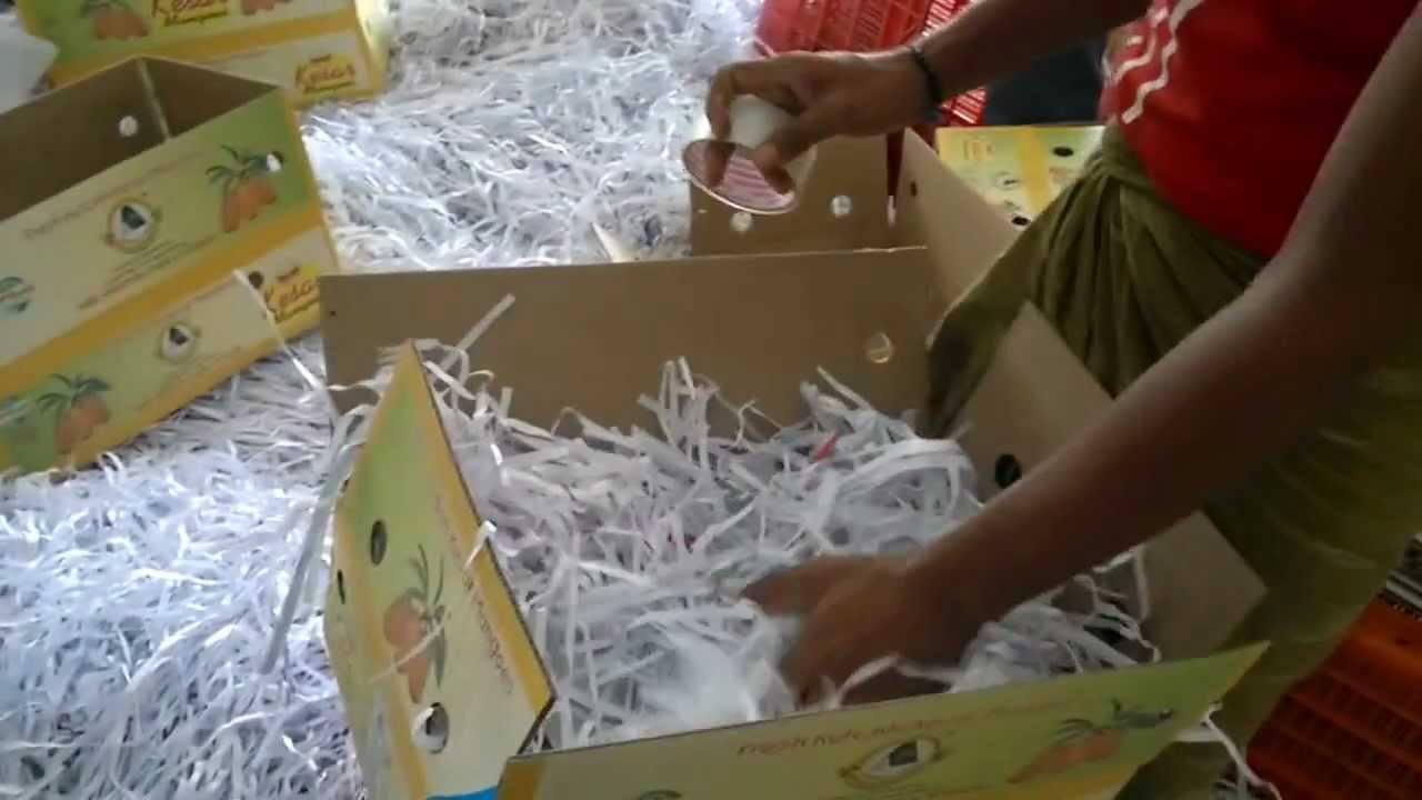Mango Packing and Grading.mp4 - YouTube