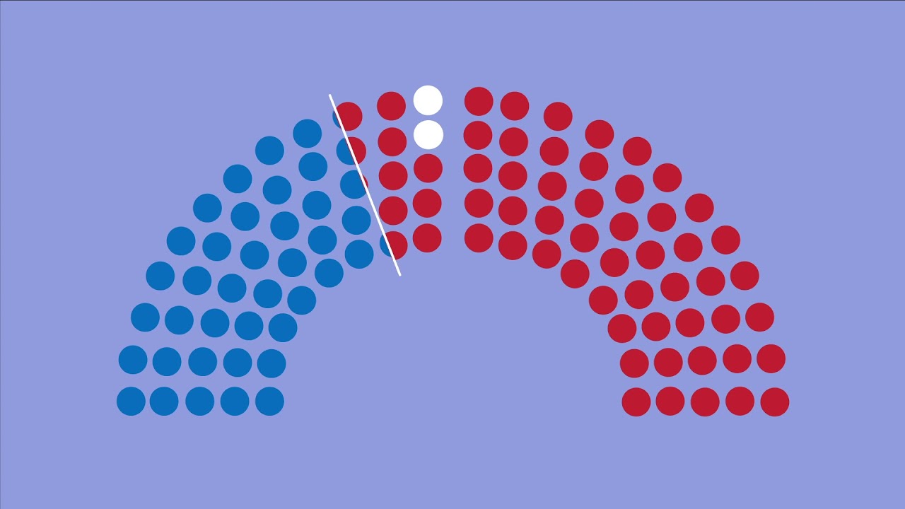 The Georgia Runoff Election - YouTube