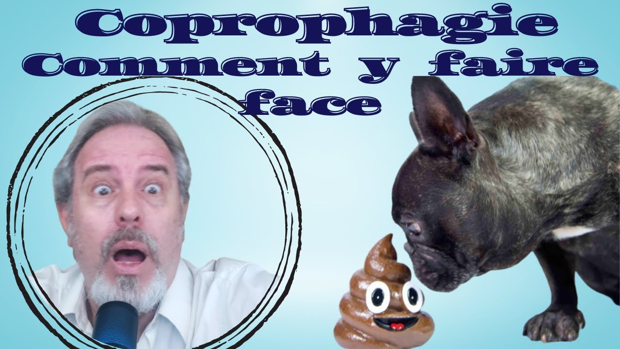 COPROPHAGIE - COMMENT Y FAIRE FACE - YouTube