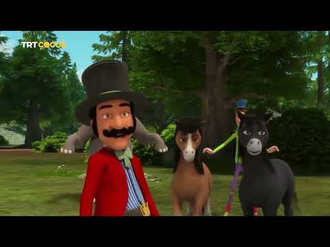 Doru Macera Ormanı - Alaca