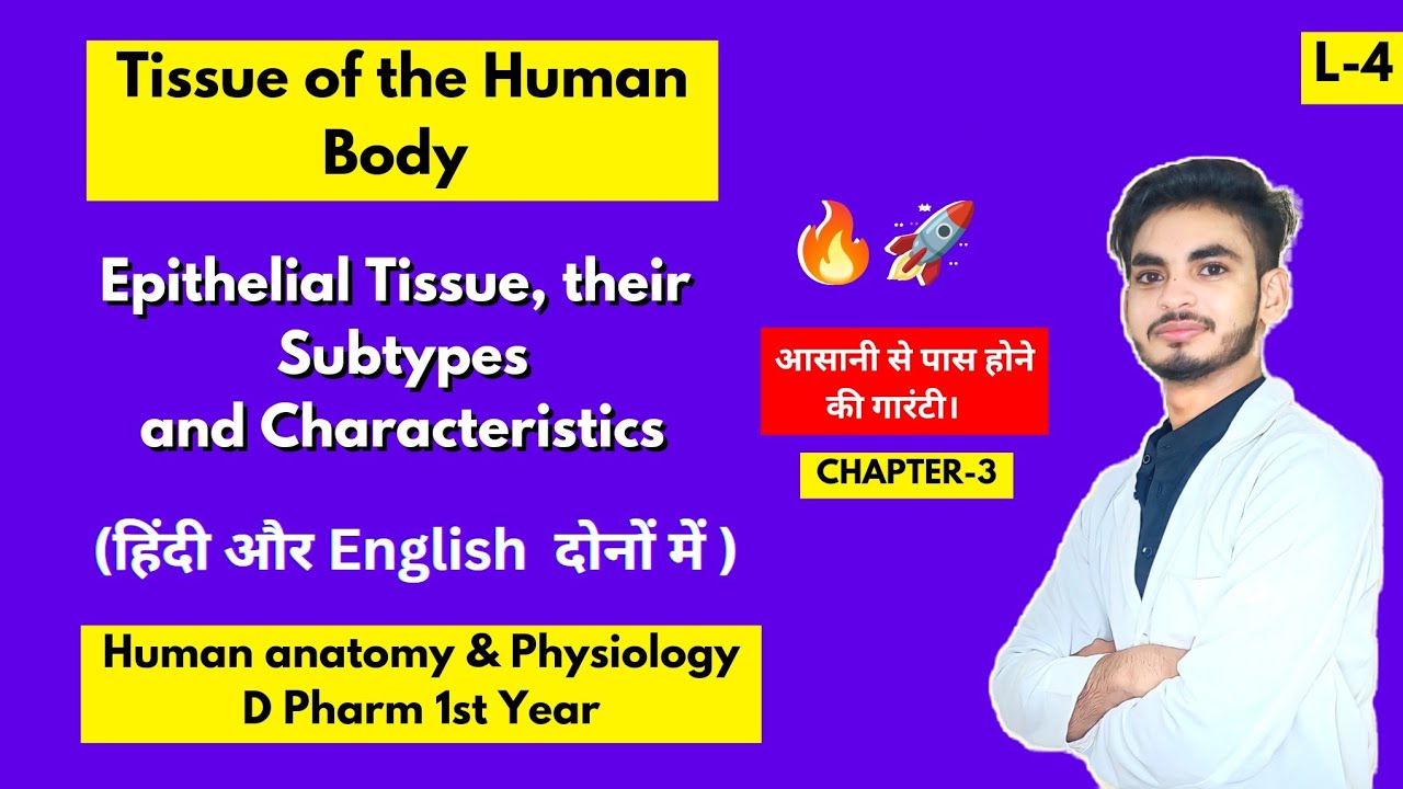 L-4। CH-3। Tissue of the human body D Pharmacy 1st year। Epithelial ...