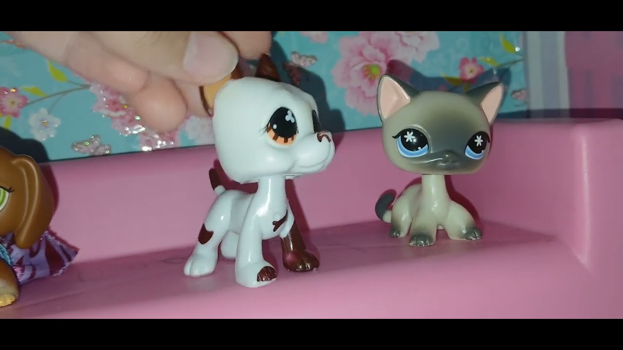 Lps littlespetshop Flu shot ️ ️ ️ ️ ️ ️ ️ - YouTube