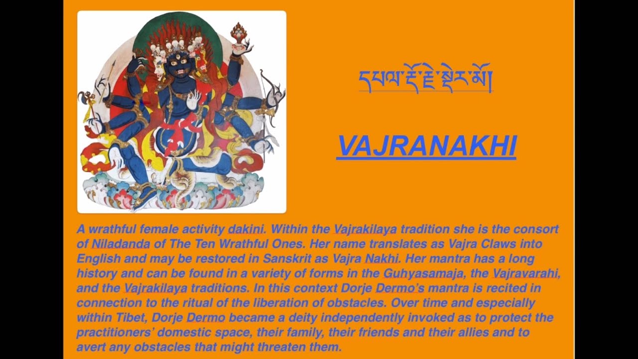 དཔལ་རྡོ་རྗེ་སྡེར་མོའི་གཟུངས་བཞུགས་སོ། ། GLORIOUS VAJRANAKHI/DORJE DERMO ...