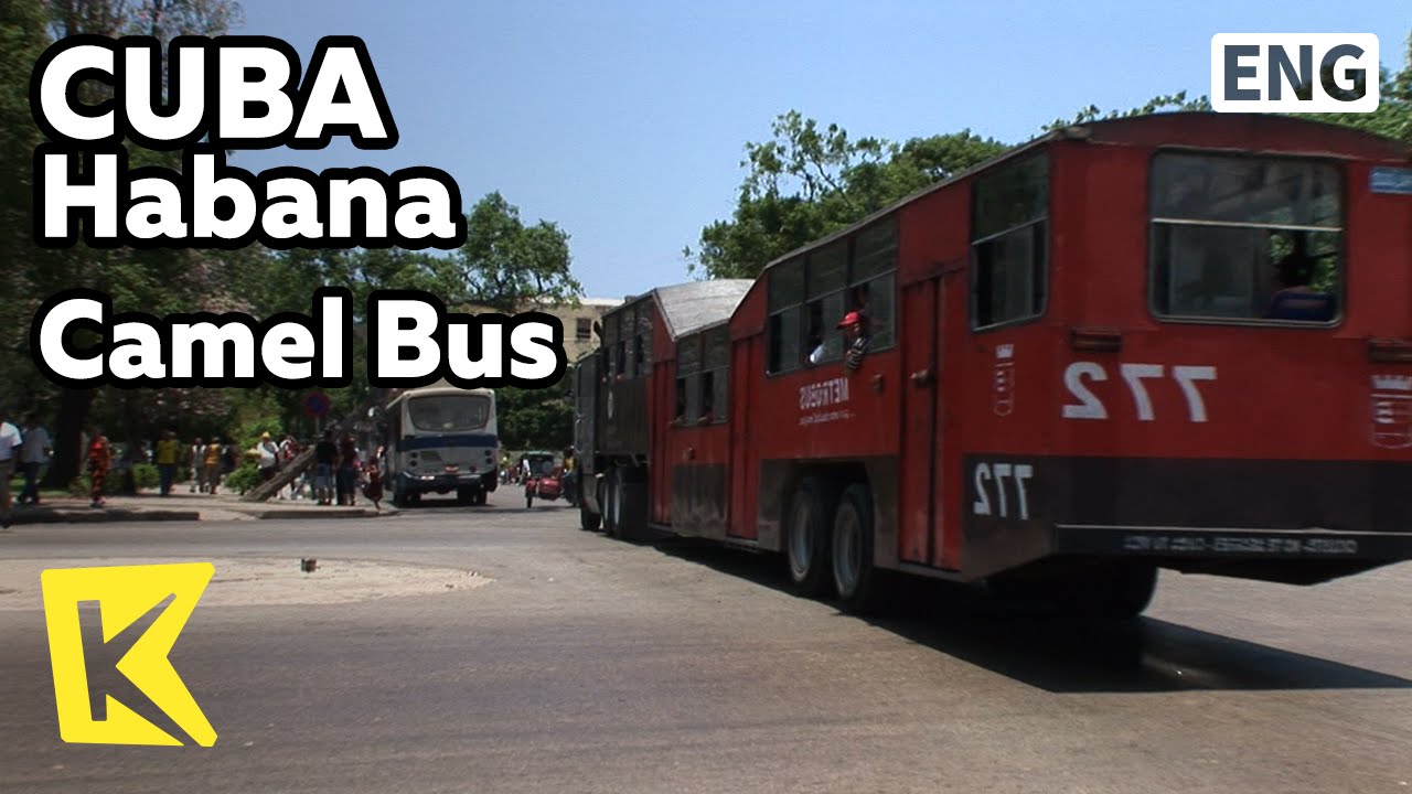 【K】Cuba Travel-Habana[쿠바 여행-아바나]추억 속 쿠바 명물, 낙타버스/Camel Bus/Station ...