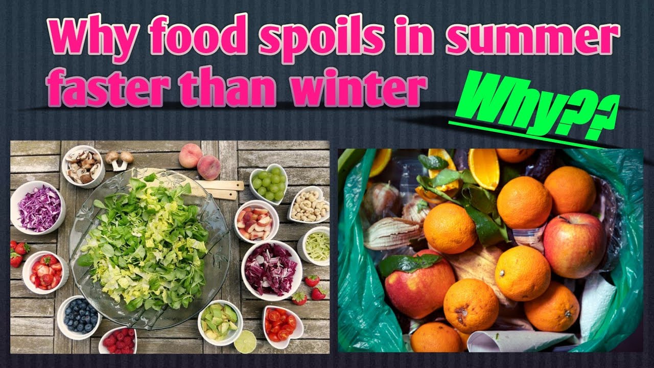 Why Food Spoils In Summer Faster Than Winter YouTube why-food-spoils-in-summer-faster-than-winter-youtube