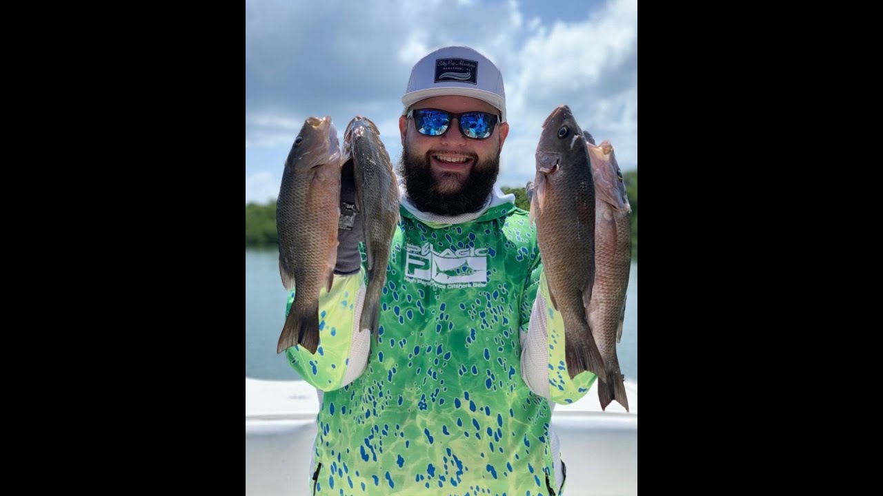 Spearing some yummy Mangos in Marathon FL - YouTube