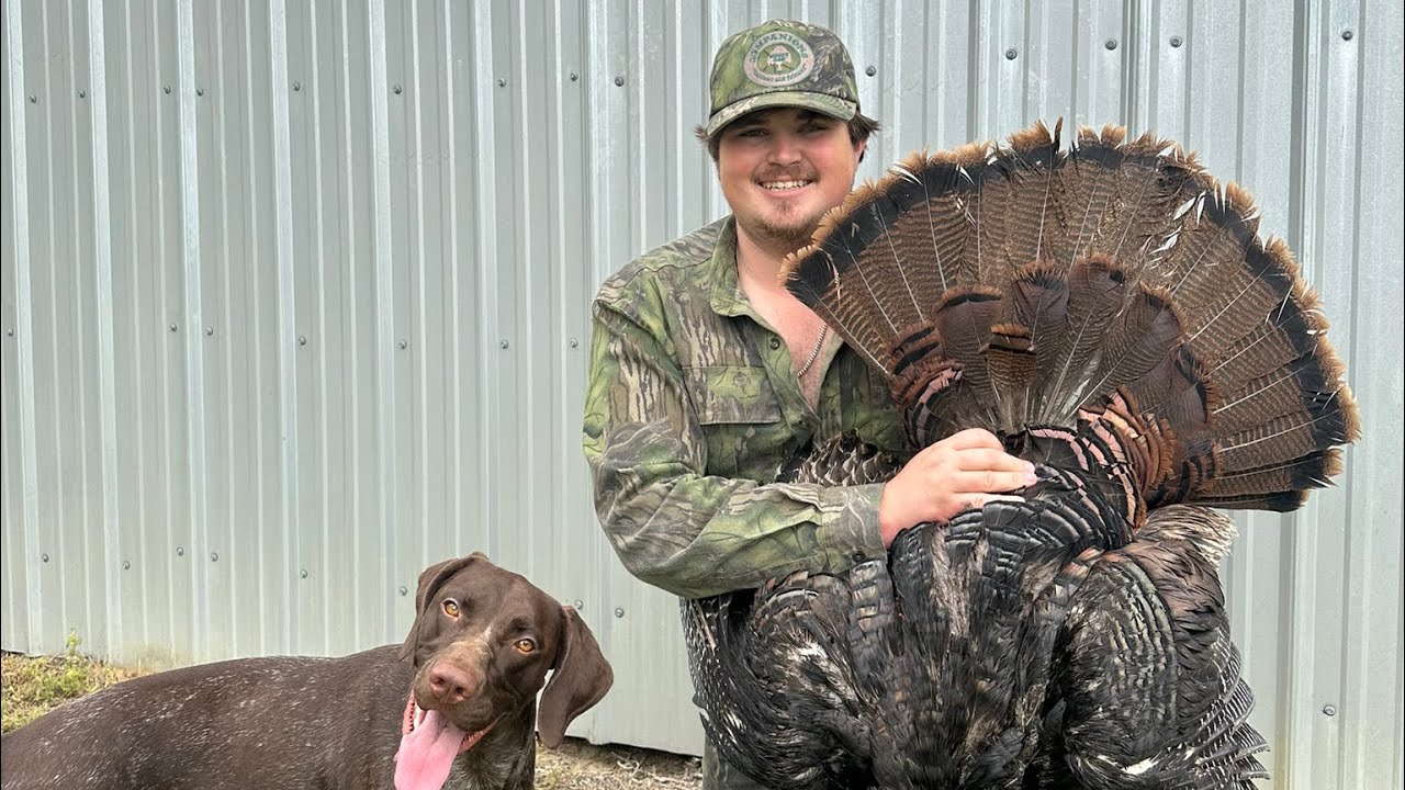 HOW TO SKIN A WILD TURKEY - YouTube