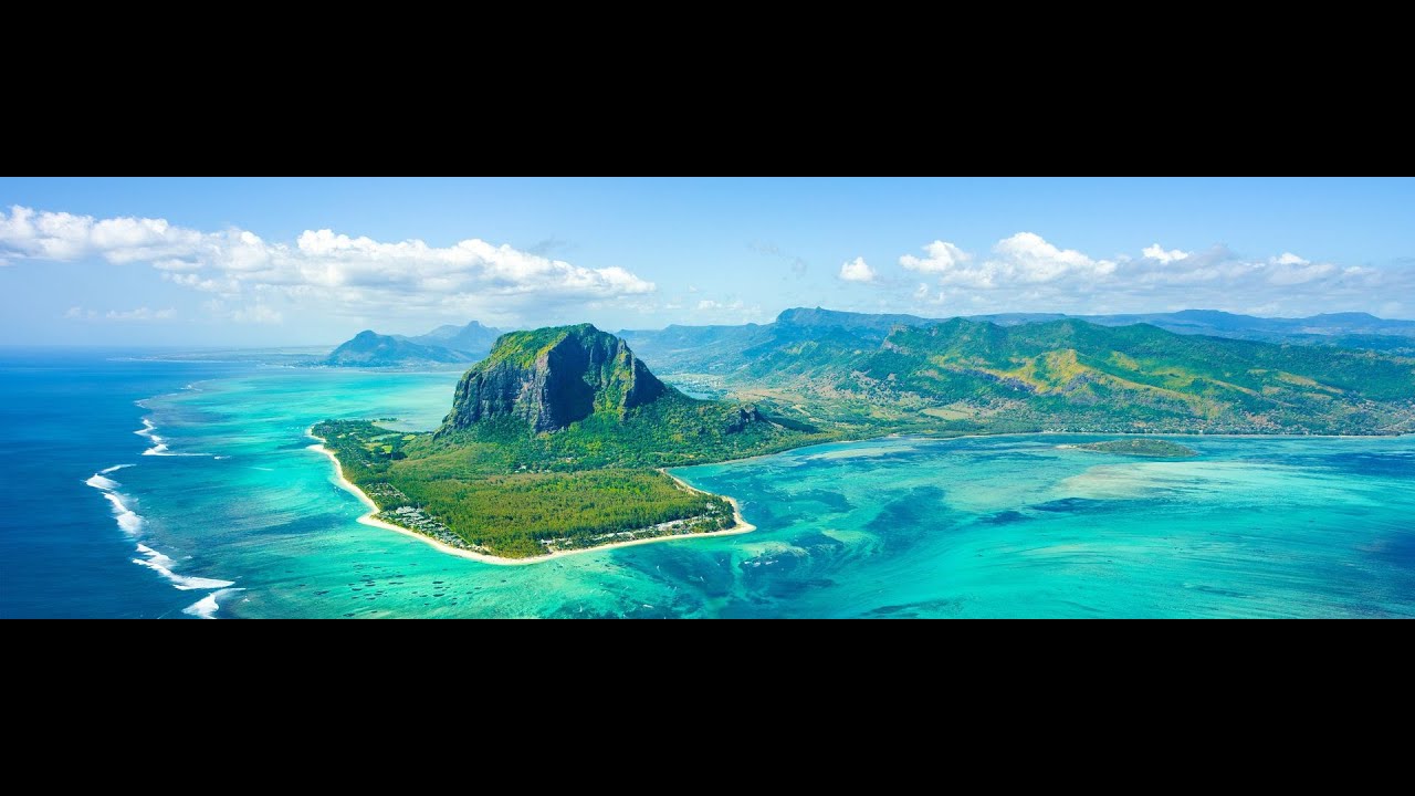 Jimmy Stanchio ~ Judging the Cane Corso in Mauritius - YouTube