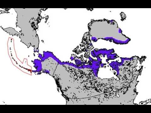 Eskimo–Aleut languages | Wikipedia audio article - YouTube