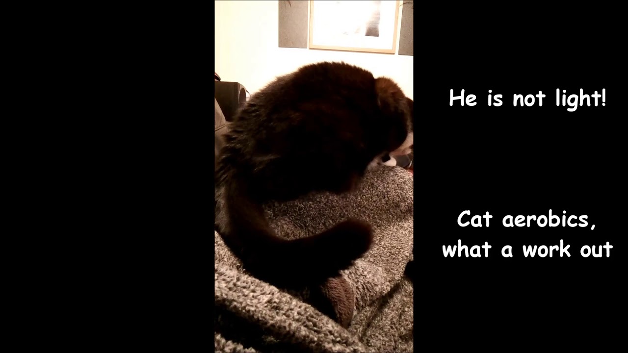 Fibromyalgia, A fibro chick video. How to annoy the cat - YouTube