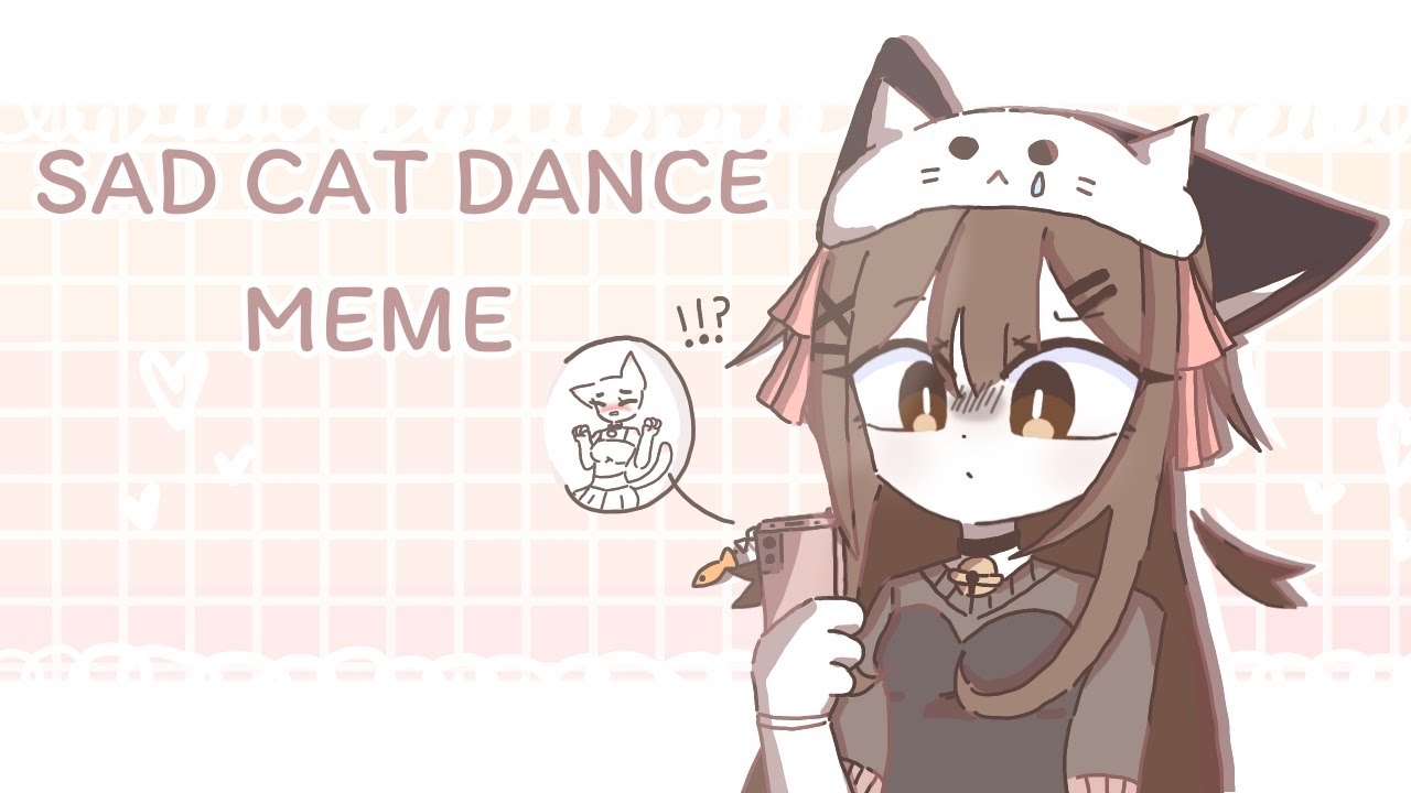 SAD CAT DANCE || Animation meme || little flash warning - YouTube