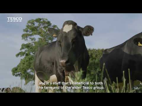 Supply Chain's Role in Tesco's Sustainability Ambitions | Supply Chain ...